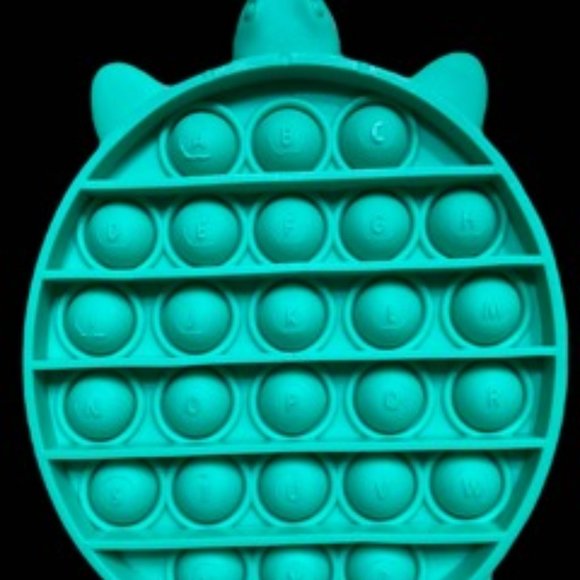 unbranded | Toys | Fidget Toy Pop Its Turtle | Poshmark